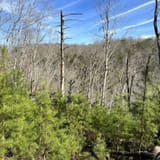 Fiery Gizzard: Grundy to Foster Falls, Tennessee - 608 Reviews, Map ...