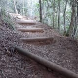 Newlands Forest via the Contour Path, Western Cape, South Africa - 703 ...