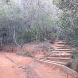 Newlands Forest via the Contour Path, Western Cape, South Africa - 703 ...