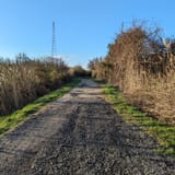 Greenbury Point Trail, Maryland - 1,023 Reviews, Map | AllTrails