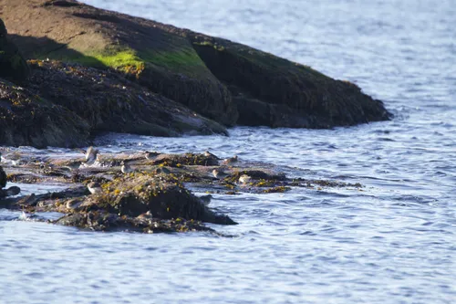 Best Hikes and Trails in Waterford Beach Park | AllTrails