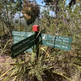 Cecilia Waterfall via Cecilia Forest, Western Cape, South Africa ...