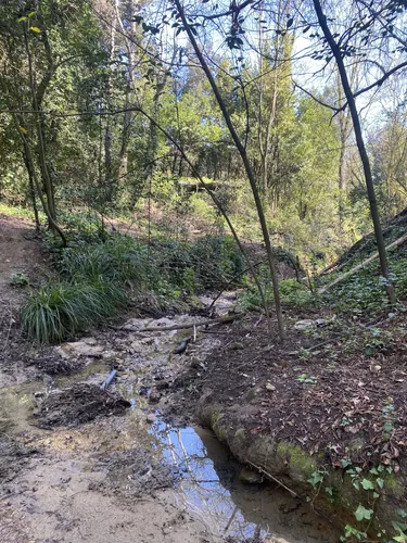 Best City Walk Trails in Riserva Naturale di Monte Mario | AllTrails