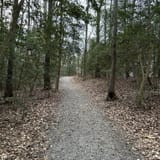 Pole Green Park Loop, Virginia - 340 Reviews, Map | AllTrails