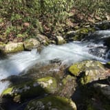 Sutton Ridge Overlook Trail, Tennessee - 569 Reviews, Map | AllTrails