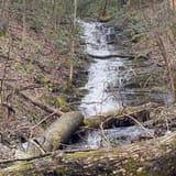 Sutton Ridge Overlook Trail, Tennessee - 537 Reviews, Map | AllTrails