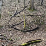 Sutton Ridge Overlook Trail, Tennessee - 537 Reviews, Map | AllTrails