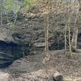 Raven Rock Loop Trail, North Carolina - 2,452 Reviews, Map | AllTrails