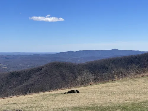 Best Forest Trails in Woolwine | AllTrails