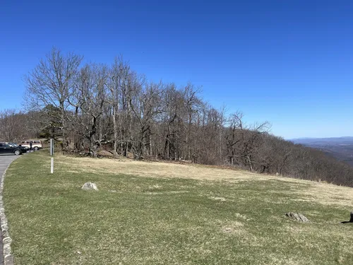 Best Forest Trails in Woolwine | AllTrails