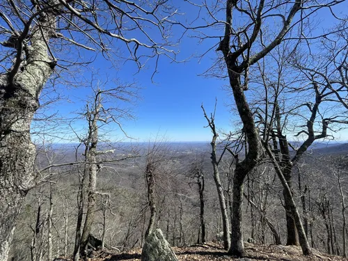 Best Forest Trails in Woolwine | AllTrails