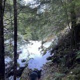Notch Pass Trail, Washington - 180 Reviews, Map | AllTrails