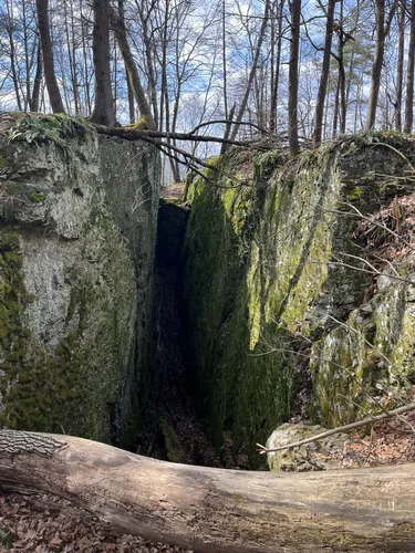 Best Views Trails in Mount Toby State Forest | AllTrails