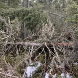 Dobson Trail, New Brunswick, Canada - 200 Reviews, Map | AllTrails