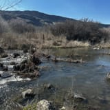 Towell Falls from Escure Ranch, Washington - 207 Reviews, Map | AllTrails