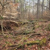 Olde Rope Mill Little River Trail, Georgia - 1,040 Reviews, Map | AllTrails