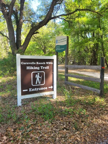 Best Hikes and Trails in Caravelle Ranch Wildlife Management Area ...