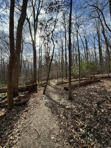Best Walking Trails in Greenway | AllTrails