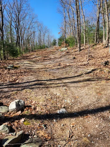 Best Walking Trails in Reading | AllTrails