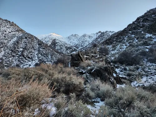 Best Hikes and Trails in Santa Rosa-Paradise Peak Wilderness | AllTrails