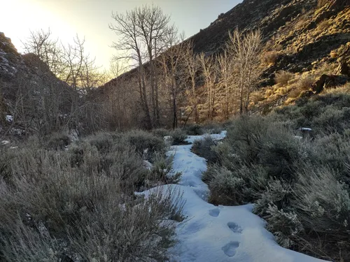 Best Hikes and Trails in Santa Rosa-Paradise Peak Wilderness | AllTrails