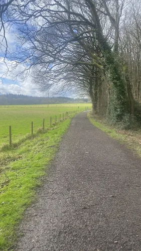 Best Hikes and Trails in Stoke Park Wood | AllTrails