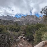 Pine Tree Trail, New Mexico - 2,106 Reviews, Map | AllTrails