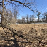 Main Trexler Park Loop, Pennsylvania - 495 Reviews, Map | AllTrails