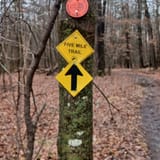 Five Mile Trail, New York - 1,424 Reviews, Map | AllTrails