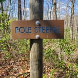 Pole Steeple Loop, Pennsylvania - 798 Reviews, Map | AllTrails