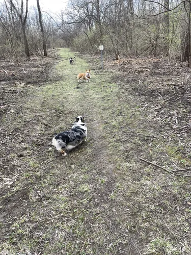 Best Dogs On Leash Trails in Kickapoo State Park | AllTrails