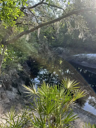 Best Hikes and Trails in Econ River Wilderness Area | AllTrails