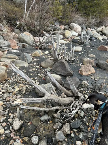 10 Best Trails and Hikes in Parry Sound | AllTrails