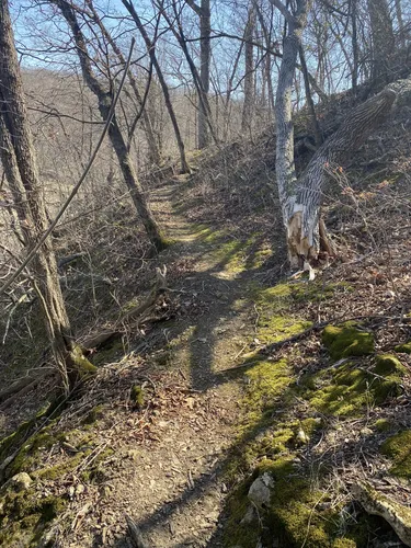 Best Hikes and Trails in Perry State Park | AllTrails