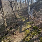 Perry Lake Hiking Trail, Kansas - 117 Reviews, Map | AllTrails