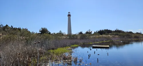Best Hikes and Trails in Cape May Point State Park | AllTrails