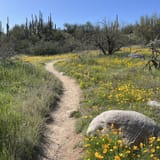 Sutherland Trail, Arizona - 207 Reviews, Map | AllTrails