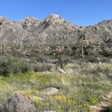 Sutherland Trail, Arizona - 207 Reviews, Map | AllTrails