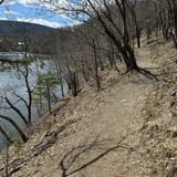 Colyer Lake Loop, Pennsylvania - 761 Reviews, Map | AllTrails