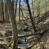 Colyer Lake Loop, Pennsylvania - 761 Reviews, Map | AllTrails