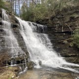 Greeter Falls Loop, Tennessee - 1,122 Reviews, Map | AllTrails
