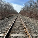 Hither Hills Trail, New York - 161 Reviews, Map | AllTrails