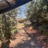 Princess Arch Trail, Kentucky - 1,239 Reviews, Map | AllTrails