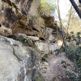 Princess Arch Trail, Kentucky - 1,239 Reviews, Map | AllTrails