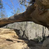 Princess Arch Trail, Kentucky - 1,239 Reviews, Map | AllTrails