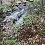 Solitaire Lake Loop, Ontario, Canada - 936 Reviews, Map | AllTrails