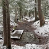 Solitaire Lake Loop, Ontario, Canada - 936 Reviews, Map | AllTrails