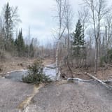 Hawk Ridge Bird Observatory Loop, Minnesota - 263 Reviews, Map | AllTrails