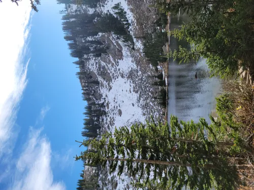 Best Forest Trails in Bonanza Flat Conservation Area | AllTrails