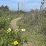 Nike Hill, California - 2,047 Reviews, Map | AllTrails